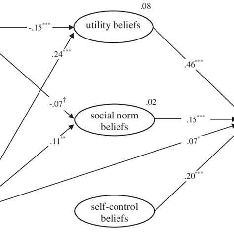 The Effect Of Sex And Second To Fourth Digit Ratio On Motivation And