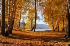 Paisaje De Otoño Stock De Foto Gratis Public Domain Pictures