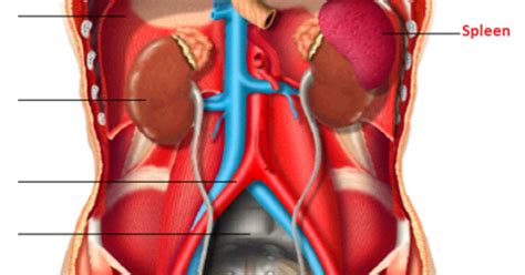 Splenectomy Lymphoma Australia