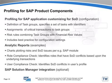 Profiling For Sap Compliance Management Access Control And