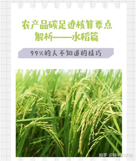 农产品碳足迹核算要点解析水稻篇 知乎