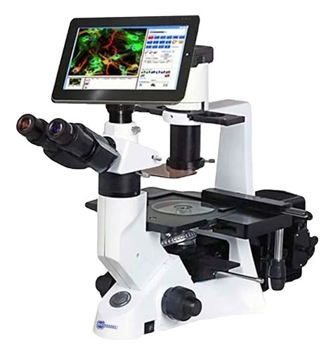 Polarizing Polarising Microscopes Bioimager
