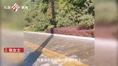 女子骑车接娃放学途中被风筝线割伤脖子，当事人：好危险，想想就后怕手机新浪网