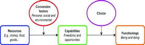 Schematic Illustration Of The Theoretical Framework Of The Capability