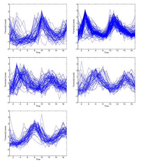 The Five Actual Clusters Of The Used Yeast Cell Cycle Data Download Scientific Diagram