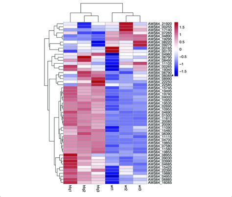 Transcriptomic Data Of Aeromonas Veronii Heat Map Of Expression Download Scientific Diagram