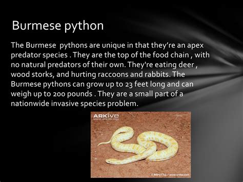 Ppt Everglades Survival Guide Powerpoint Presentation Free Download