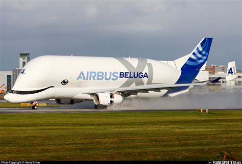 F Gxlj Airbus Transport International Airbus A330 743l Beluga Xl Photo