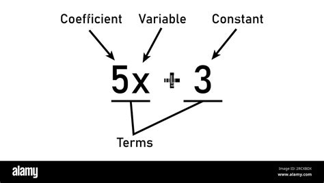 what is a constant in math