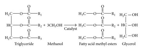 Transesterification Reaction To Obtain Biodiesel Download Scientific Diagram