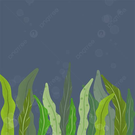 Seaweed Background Seaweed Underwater Seaweed Clipart Background