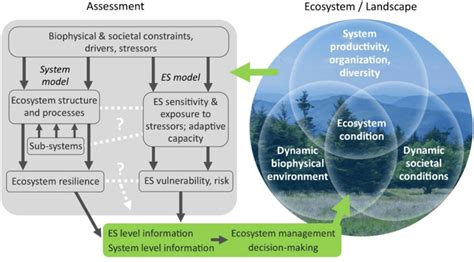 Representation Of Ecosystems And Ecosystem Services Es In Ecological