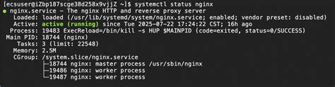 Self Built Nginx Reverse Proxyauthoritative Dns Resolution Alibaba Cloud Dns Alibaba Cloud