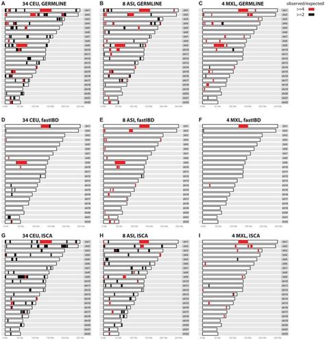 Identical By Descent Isogg Wiki Finding Your Roots Finding