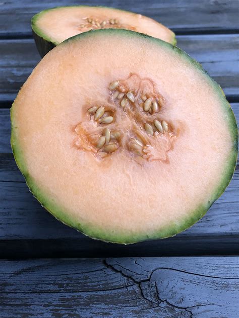 Cantaloupe Charentais Seeds Heirloom Seeds Canada