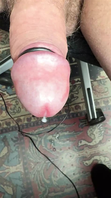 Hose Down With Electricity Swiss Gay Close Up Amateur Porn Xhamster