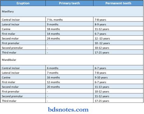 Tooth Eruption Question And Answers Bds Notes