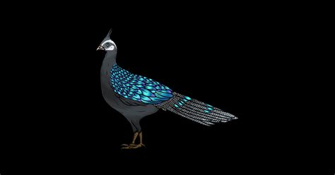 Palawan Peacock Pheasant Bird Cartoon Illustration Palawan Peacock