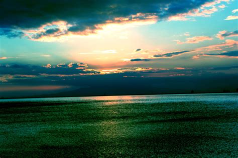 Nature Background Free Stock Photo Public Domain Pictures