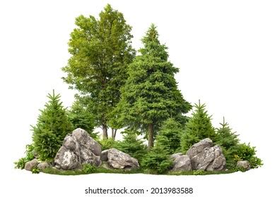 Free Tree Background Images Free Downloads Pikwizard