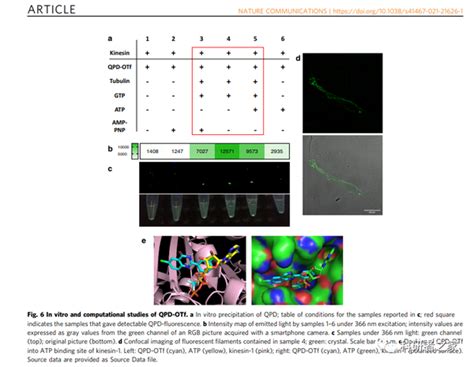 科研者之家 分子对接平台上线了 知乎