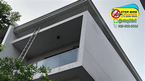 บ้านสวยปลอดนก ติดตั้งตาข่ายกันนก ด้วยวัสดุppสีเทาใส คุ้มค่าคุ้มราคา พร้อมความสวยงาม นกสร้าง