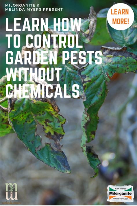 25 Fertilizer Diy Ideas Fertilizer Diy Fertilizer Organic Gardening