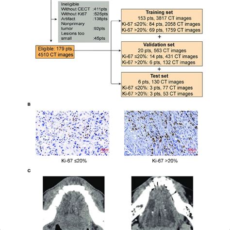 The Structure Of The Inception Resnet V2 Network Model Download Scientific Diagram