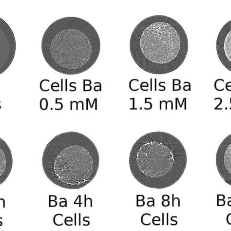 T2 Decay Signal The T2 Time Constant Is The Time It Takes For The