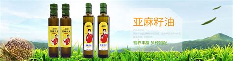 邵阳市林业局、油茶办、油茶协会莅临亚美茶油股份参观考察 湖南亚美茶油股份有限公司