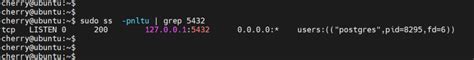 How To Install Postgresql On Ubuntu 2204 Cherry Servers