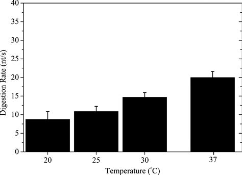 Lambda Exonuclease Digestion Of Cgg Trinucleotide Repeats Abstract Europe Pmc