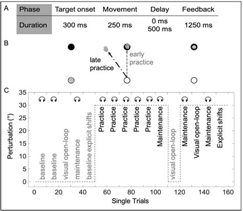 Schematic Representation Of The Experiment Divided Into The Temporal
