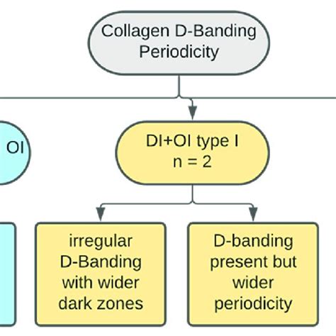 Distribution Of Studies Based On Types Of Osteogenesis Imperfecta