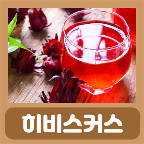 히비스커스 효능 부작용 먹는법 임산부 히비스커스 잎 차 효능 네이버 블로그