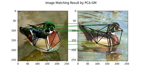 Jittor Backend Example Matching Image Keypoints By Graph Matching Neural Networks — Pygmtools