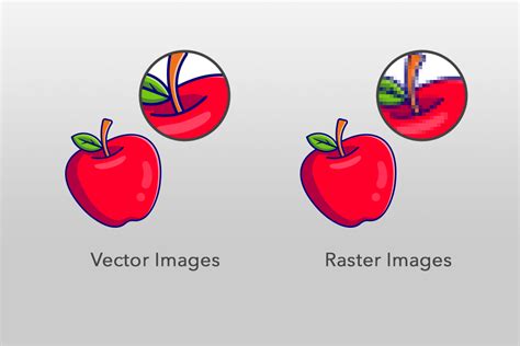 Vector Vs Raster Images Whats The Difference
