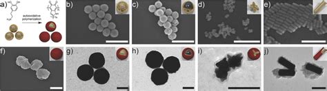 Synthesis Of Melanin Coated Gold Particles A Auto‐oxidation Of