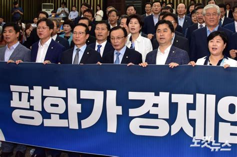 더불어민주당 평화가 경제 노컷뉴스