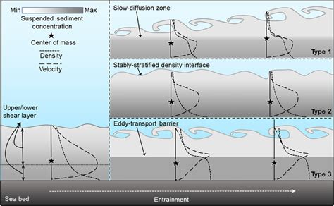 Density And Velocity Profiles Of Turbidity Currents Exhibited By