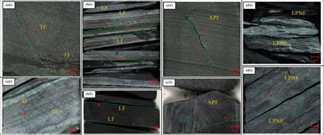 Characteristics Of Pore Structure And The Evolution Process In