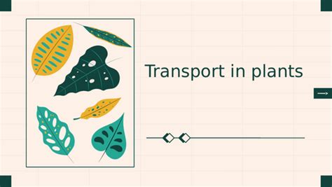 Igcse Combined Science Biology Only Teaching Resources