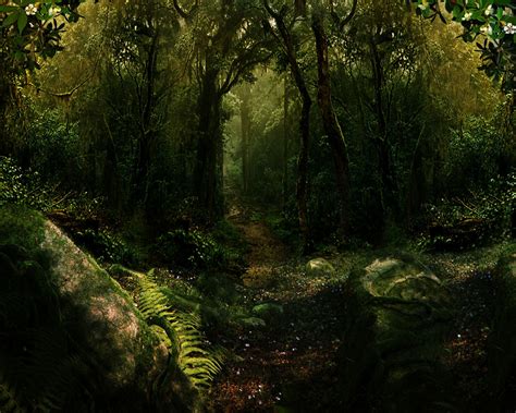 Mystical Forest Forest Art Forest