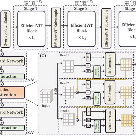 Overview Of EfficientViT A Architecture Of EfficientViT B Download Scientific Diagram