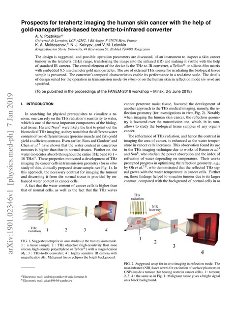 Pdf Prospects For Terahertz Imaging The Human Skin Cancer With The Help Of Gold Nanoparticles