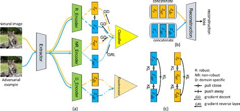 Figure 2 From Exploring Robust Features For Improving Adversarial Robustness Semantic Scholar