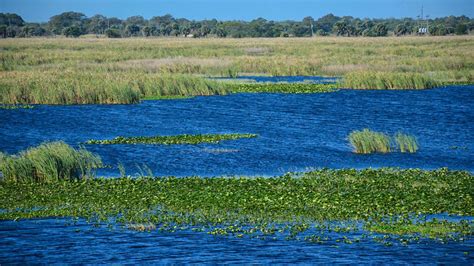 Florida Trail Okeechobee To Okee Tantie Florida Hikes