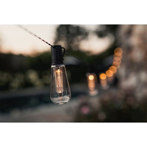 Luminites Globe String Lights Illuminate Your Backyard