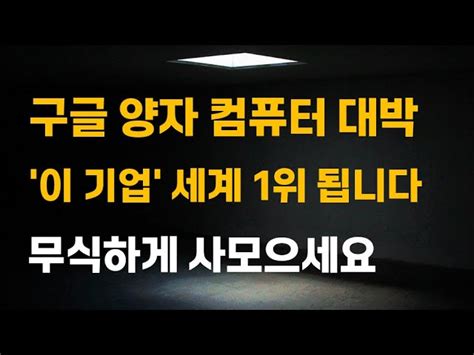 주식 구글 양자 컴퓨터 대박 이 기업 세계 1위 됩니다 무식하게 사모으세요 양자컴퓨터관련주 양자컴퓨터대장주 아이온큐목표주가 Ionq전망 2025년주식전망