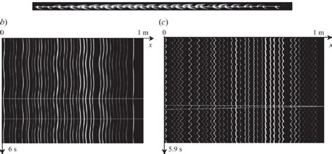 Spatio Temporal Diagrams A View From Above Of The Whole Membrane L